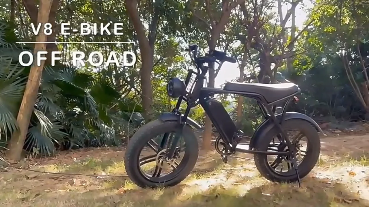 Original V8 Double Battery Pro Accu Full Suspension Bicicleta Electrica ...