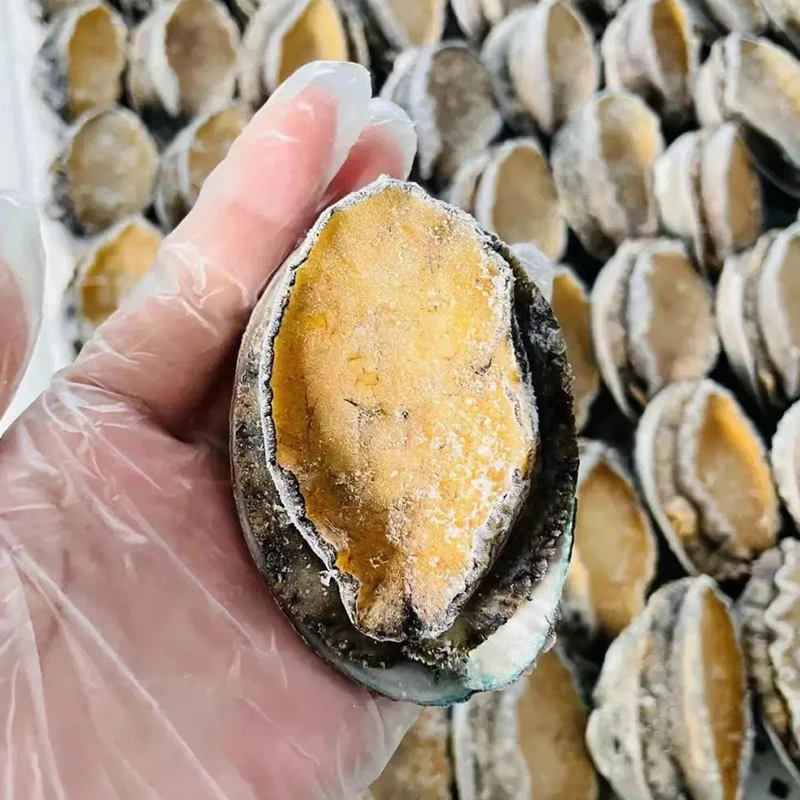 Wholesale High Quality Natural Abalone Freeze Air Dried Large Abalone ...