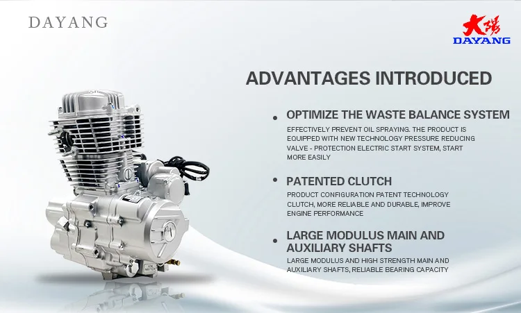 DAYANG 200cc Engine for Three Wheel Motorcycle/cargo Tricycle