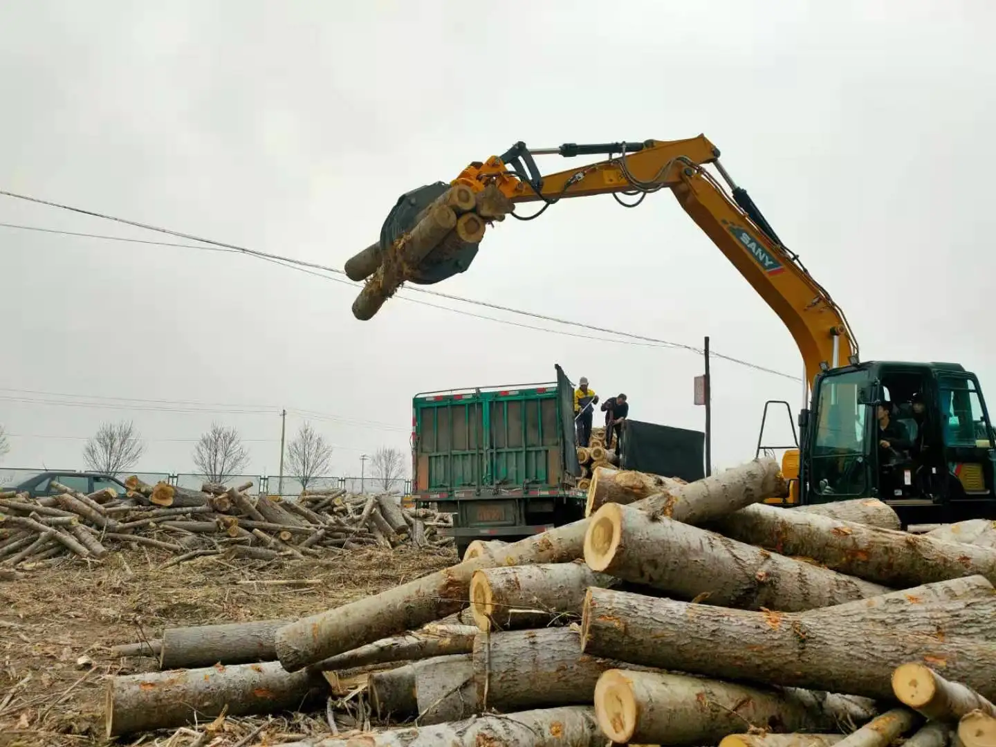 Log Grab Wood Grapple Rotary Hydraulic Log Grab for Excavator| Alibaba.com