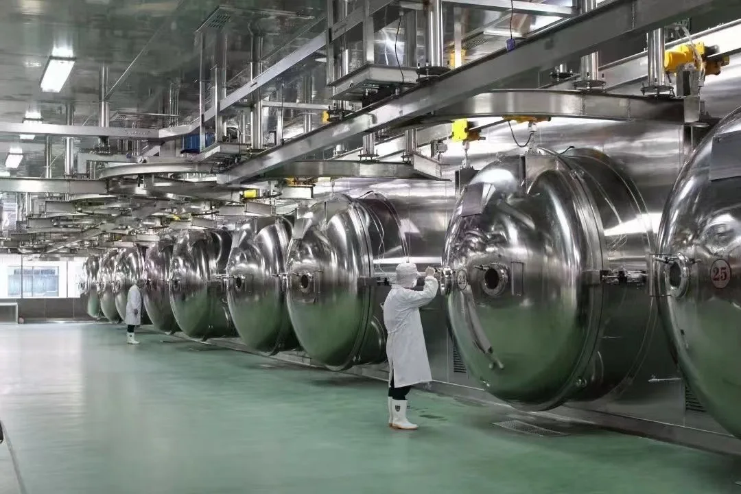 Shanghai Factory Industrial Plant Vacuum Freeze Dryer Equipment for ...