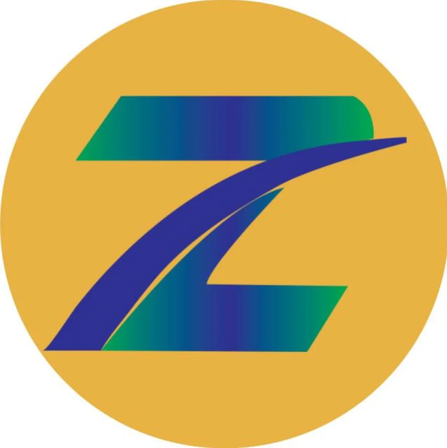 Company Overview - ZEDI SPORTS