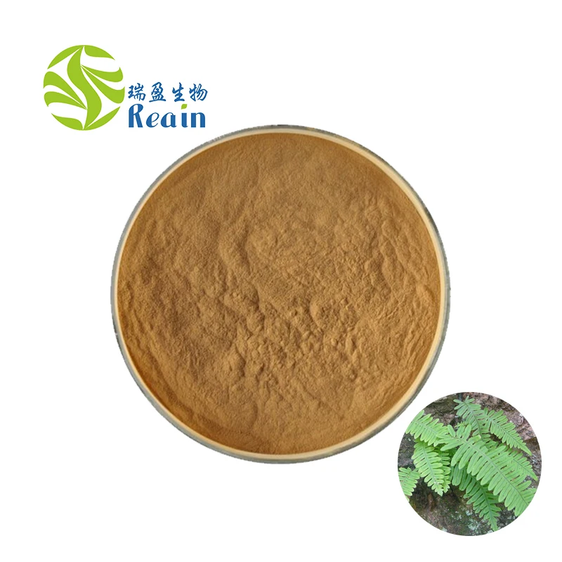 Healthy Food Supplement Powder 30:1 Polypodium Leucotomos Root Extract ...