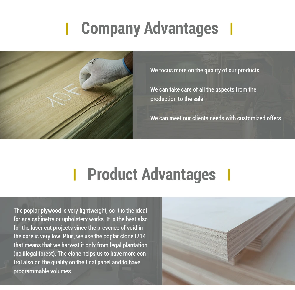 White Matt Finish Hpl Plywood 25 Mm Thickness High Quality Made In ...