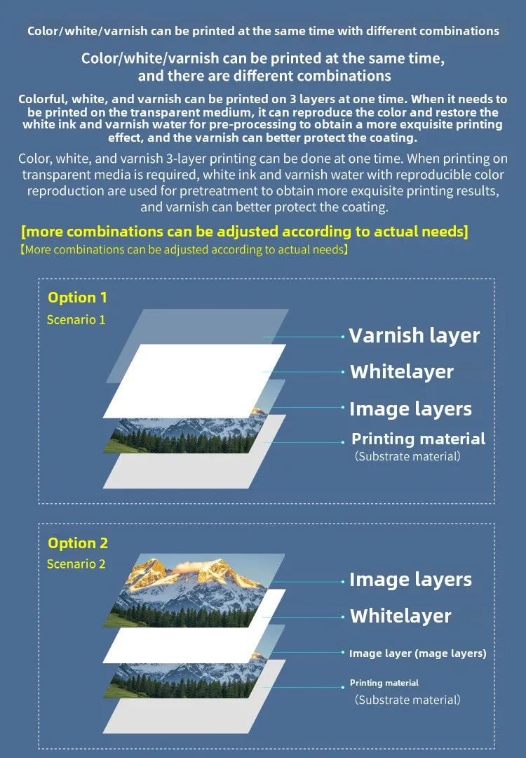 Brand New Professional Inkjet Photo Printer with Semi-Automatic UV ...