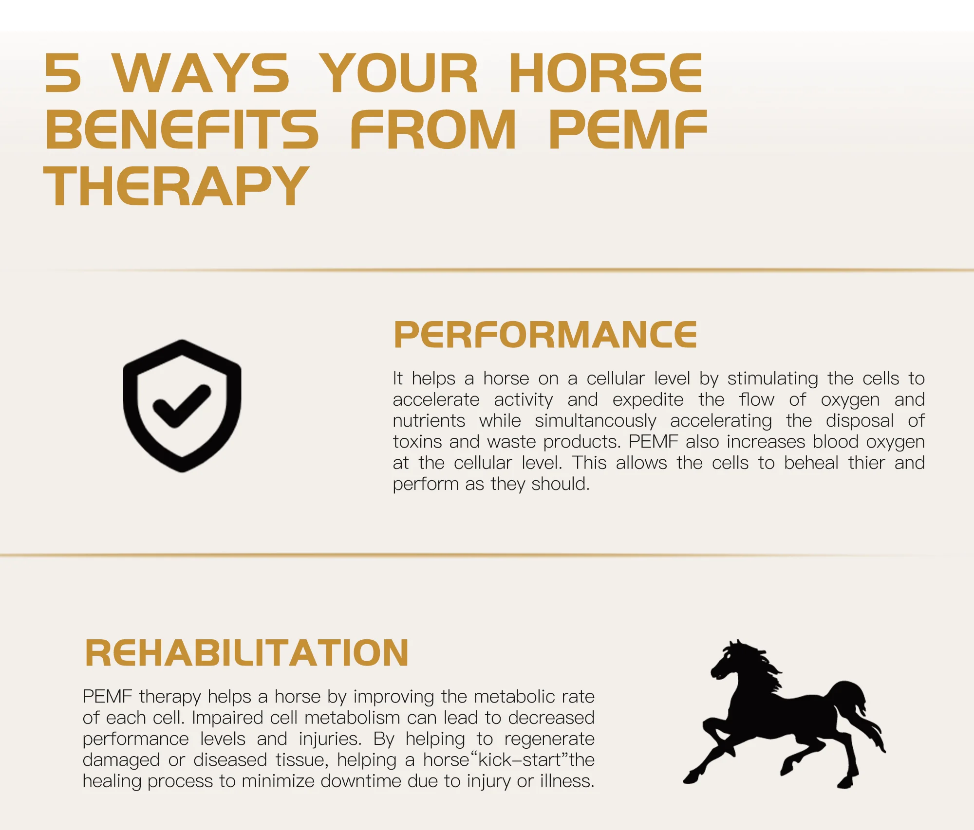 PEMF Machine for Equine - Magnetic Therapy for Horses
