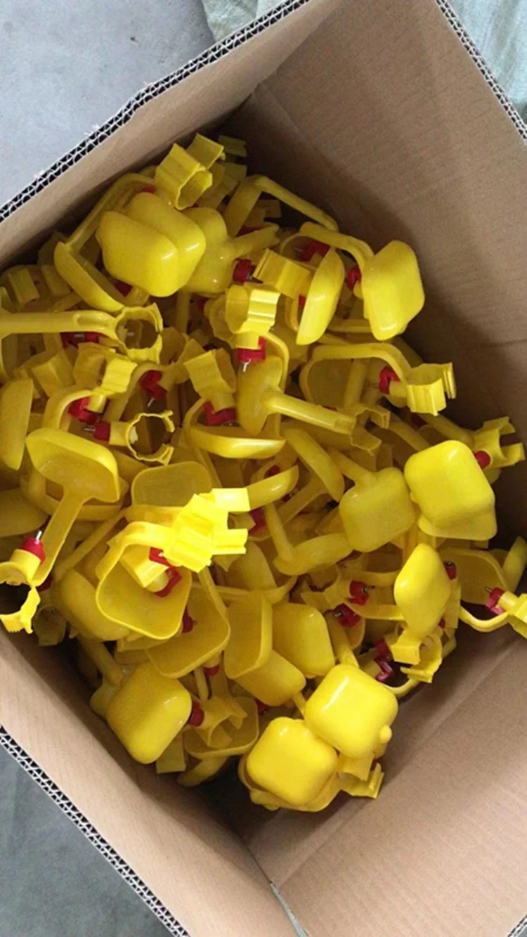 Automatic Poultry Drinking Water Cups Plastic Chicken Broiler Water ...