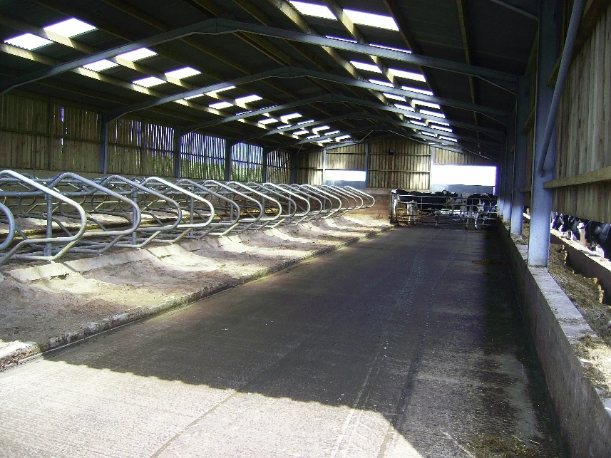 Steel Cattle Shed Bull Shed Cow House Barn - Durable & Modern