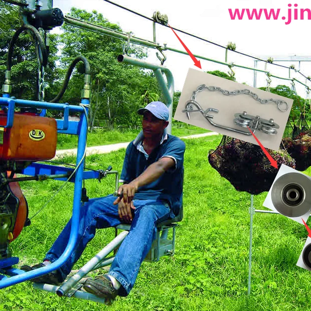 Banana farm fruit farm cableway systems farm complete system| Alibaba.com
