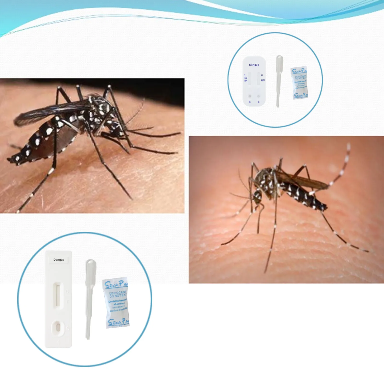 Dengue Virus Ns1 Antigen Detection Kit,Dengue Fever Self-test,Mosquito ...