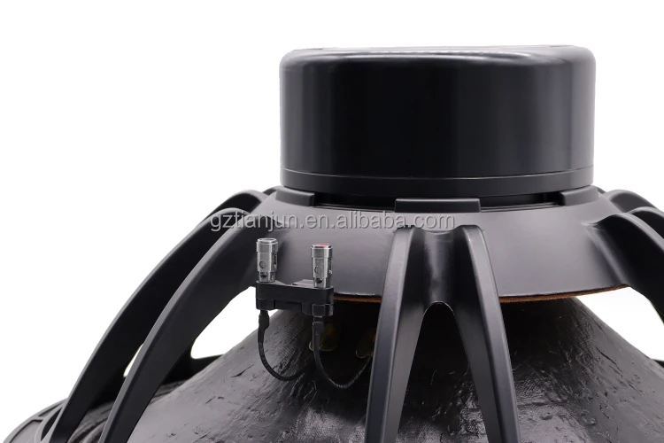 21 Inch Neo Subwoofer - 4000W Pro Audio for Stage & Outdoor