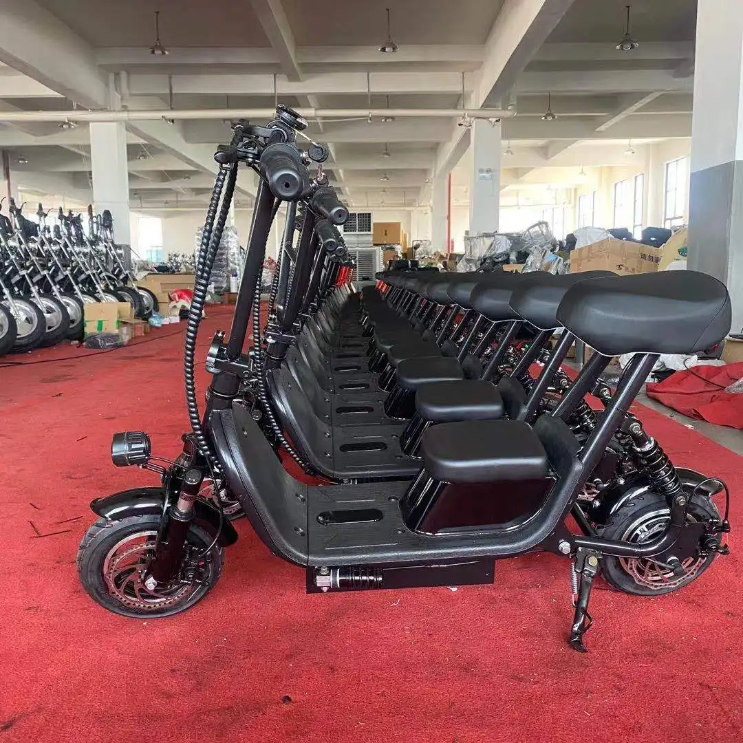 Mini Harley Scooter - Citycoco Electric Bike for Europe & USA