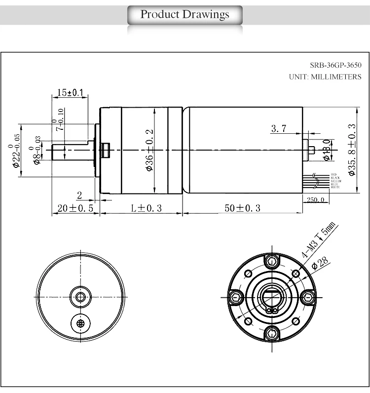 36mm 3650 BLDC Planetary Low Rpm Reduction Motor High Torque