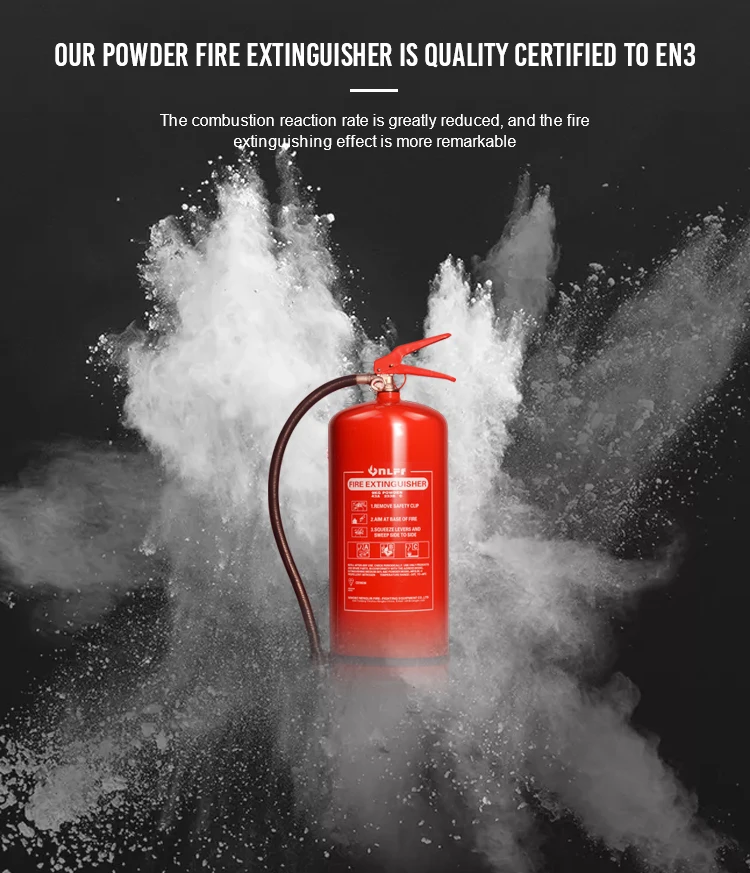 1KG ABC Powder Fire Extinguisher for Car Fires - Emergency Kit