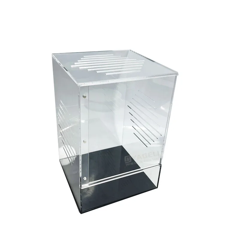 Custom Clear Acrylic Tarantula Enclosure Jumping Spider Acrylic Case ...