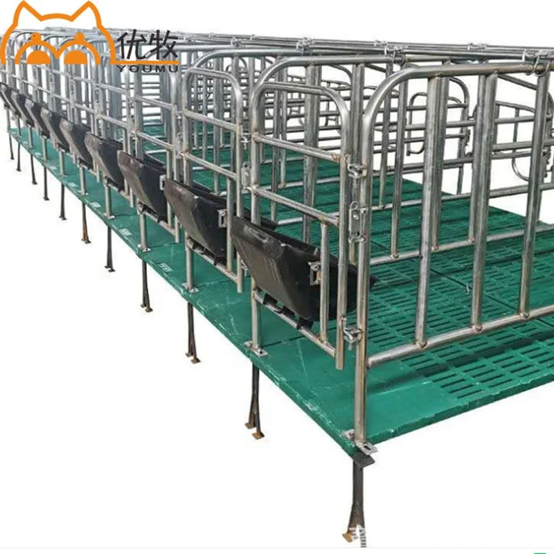 Livestock Animal Cages Piggery Farming Product Pig Gestation Stalls ...