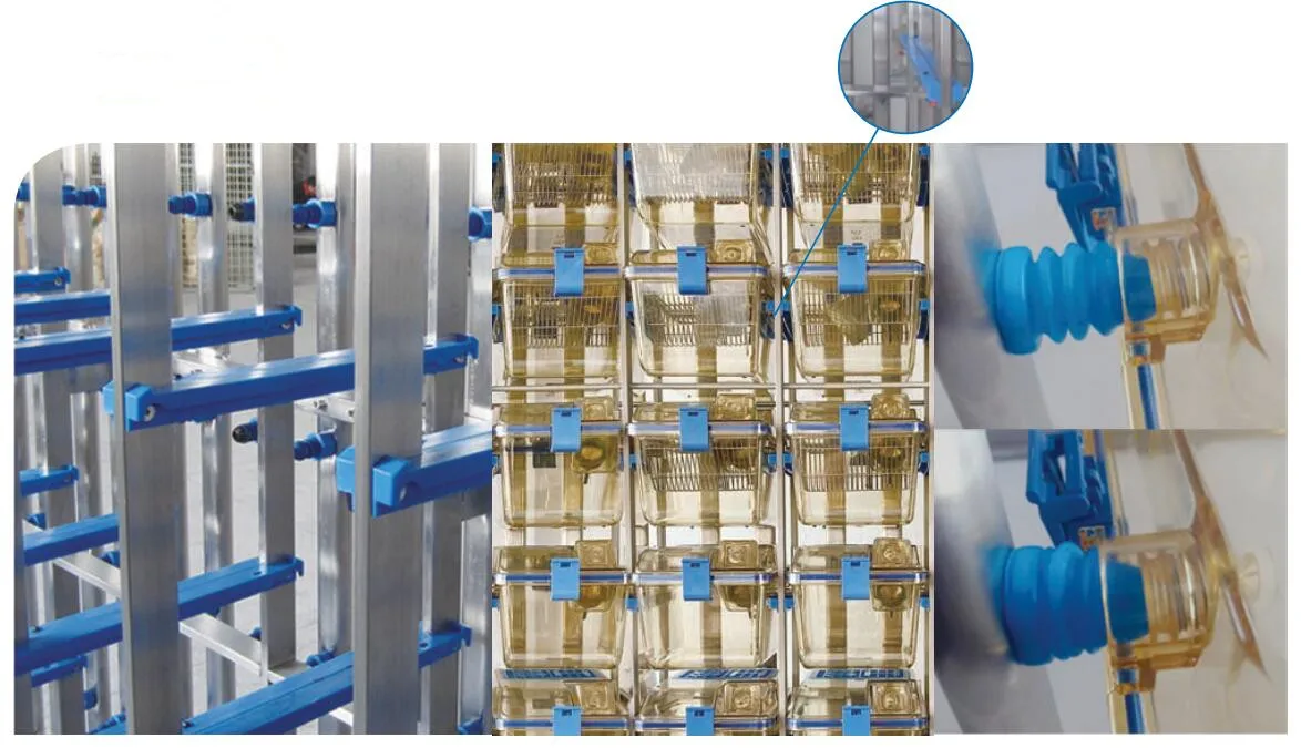 RITAL Rat IVC System - Efficient Lab Rodent Breeding