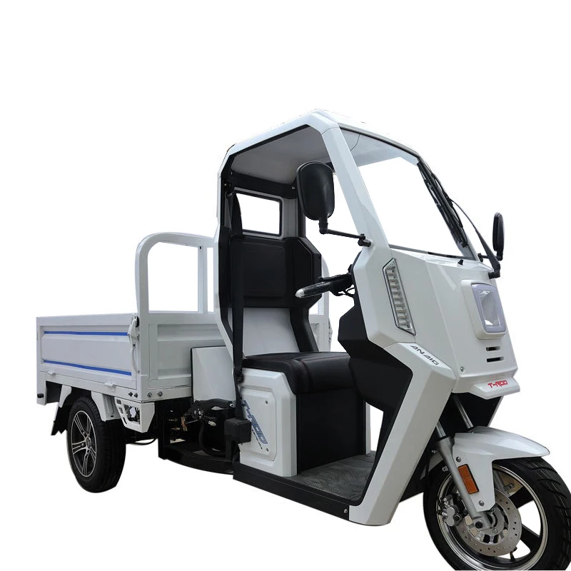 2021 EEC Electric Tricycle Van - Efficient Cargo Transport