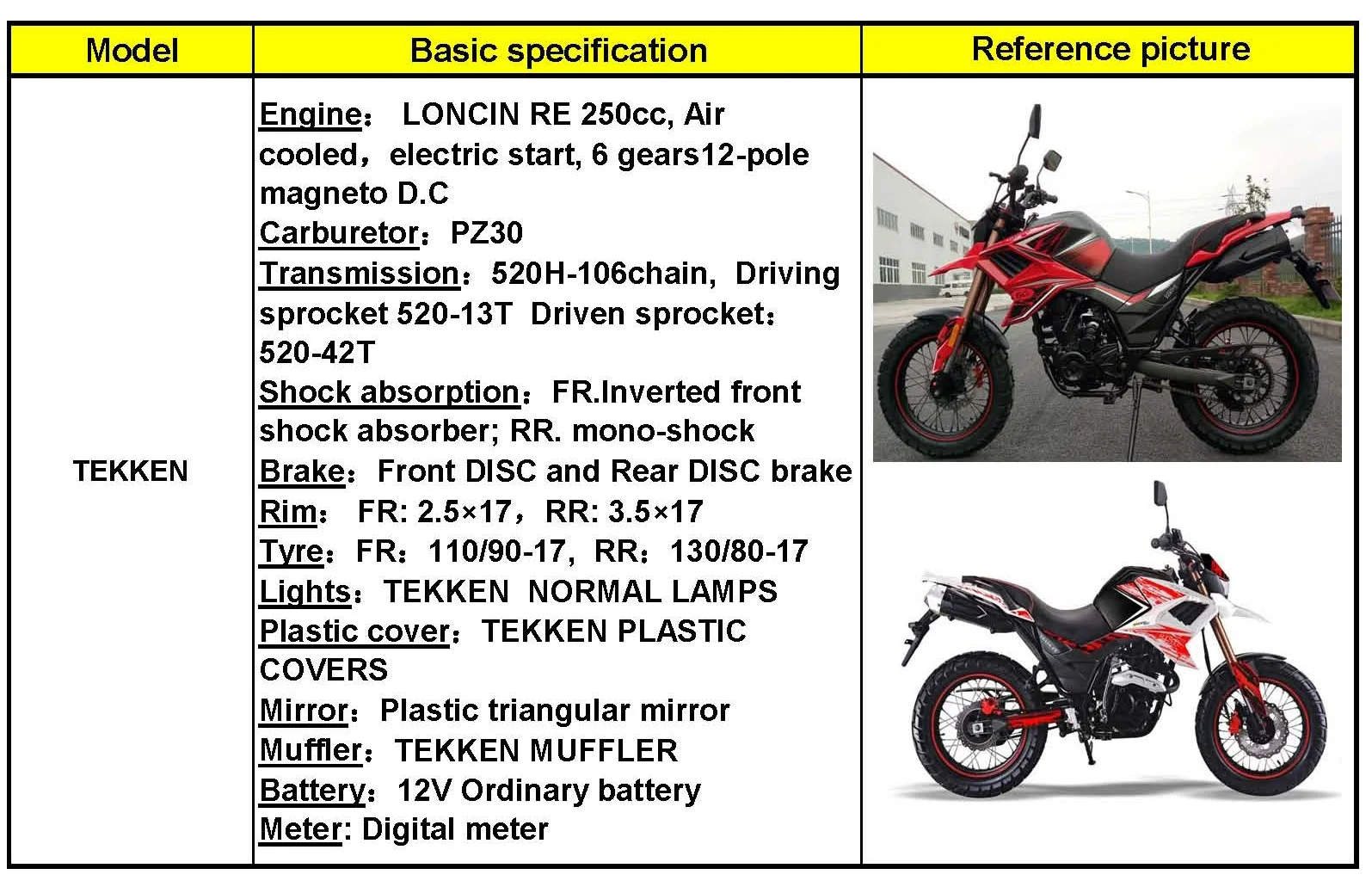 FUEGO TEKKEN 250cc Motorcycle - High Performance & Style