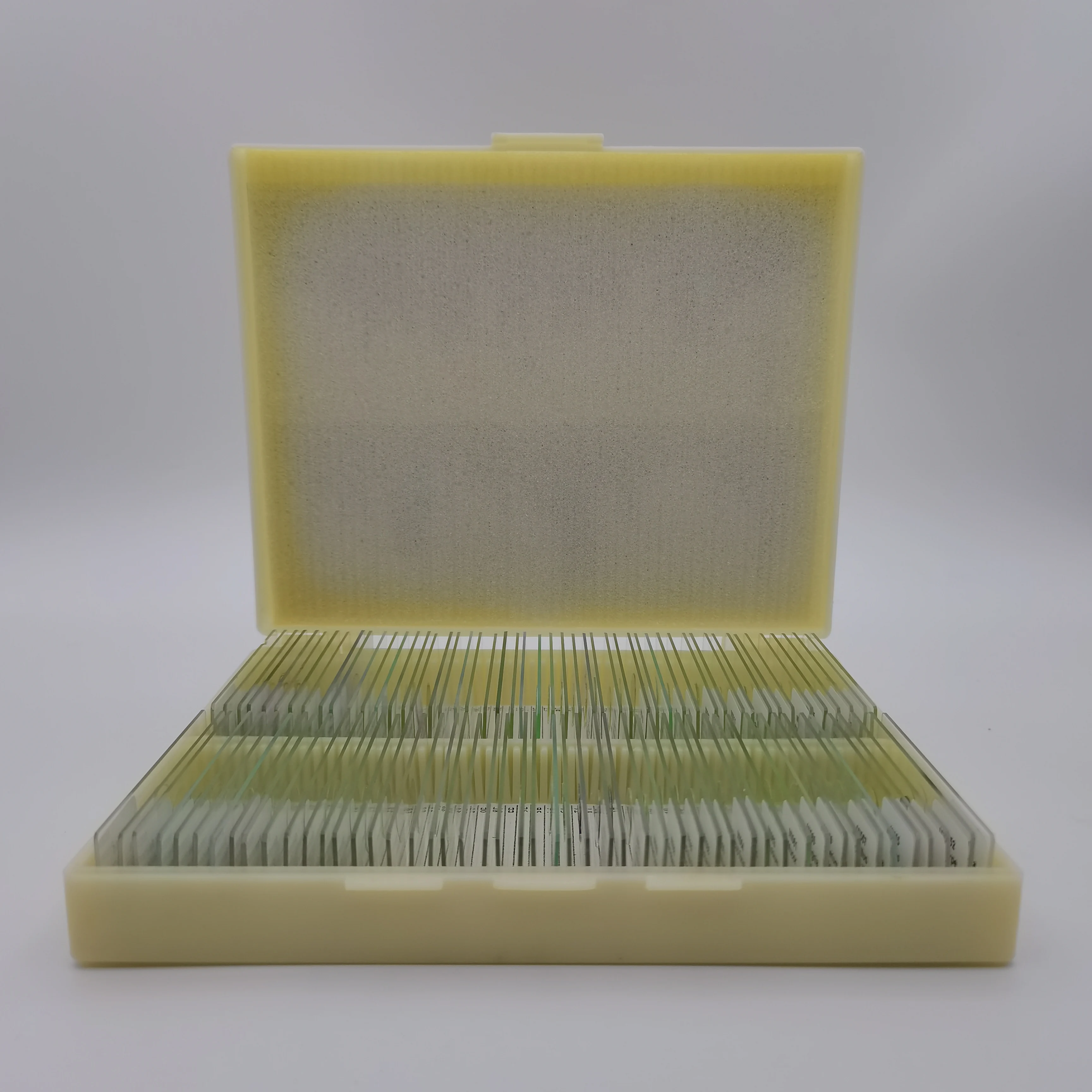 Glass Material And Other Subject 100pcs Human Histology Slides Set Red ...