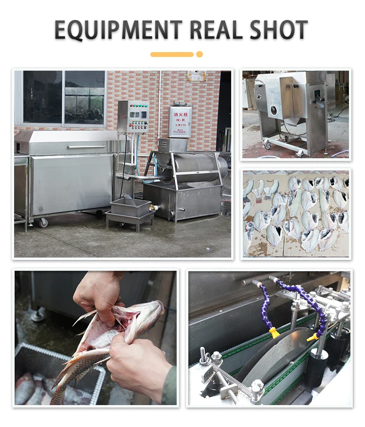 Aicnpack Fish Scales Processing Machine Scale Remover Scale Peeling ...