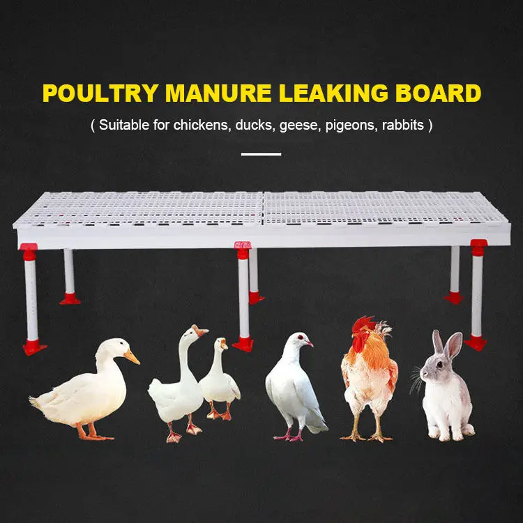 Hot-selling Chick Plasticturnover Box Live Chicken Transport Cage ...
