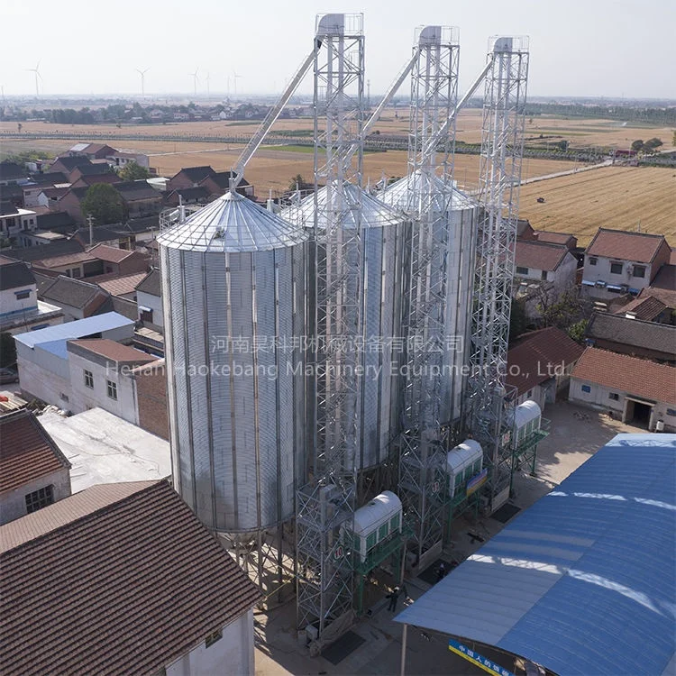 1000 Ton Paddy Grain Storage Silo for Farm - Durable Steel Construction ...