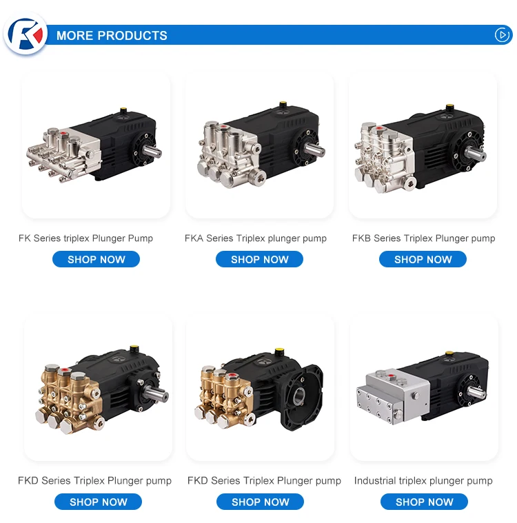 Feike High Pressure Car Washer Pump - 100 Bar Triplex Plunger