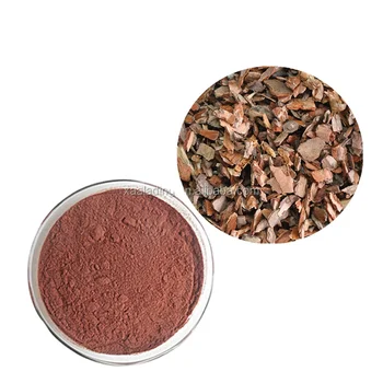 Chinese Supplement Pinus Pinaster Extract 95% Polyphenol Pine Bark ...