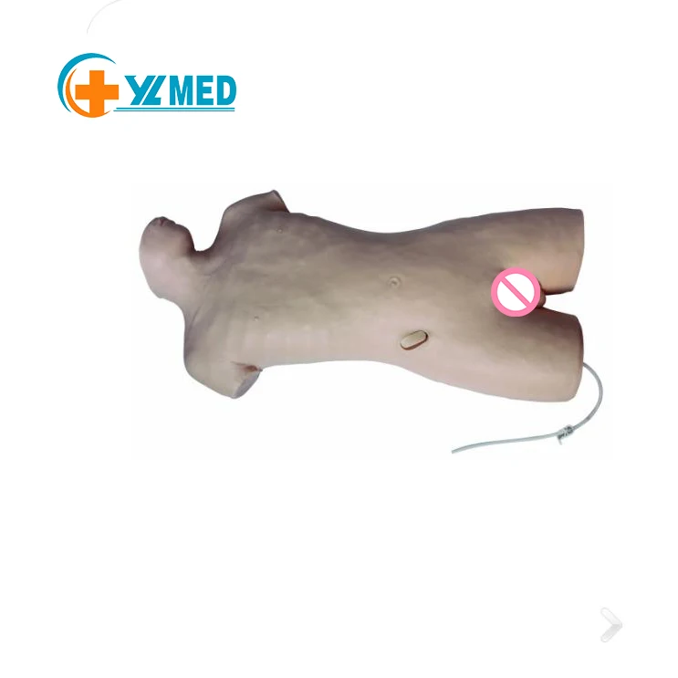 Medical Science Whole Body Abdominal Puncture Model Used For Doctors ...