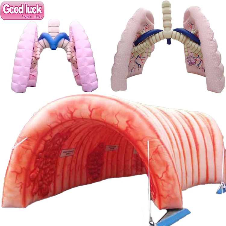 Giant PVC Inflatable Lungs - Lifelike Lung Tube Model Balloon