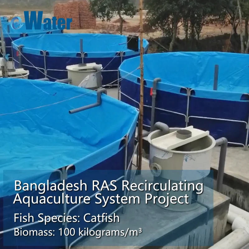 Indoor Recirculating Ras System Fish Farming Pisciculture Aquaculture ...