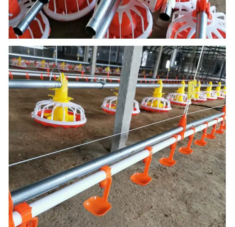 Broiler Farming Equipment Automatic Poultry Feeding Line System for ...