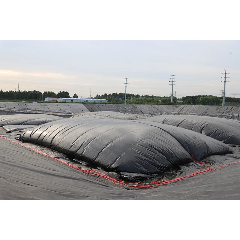 Home Biogas Plant - Eco-Friendly PVC Storage Tank