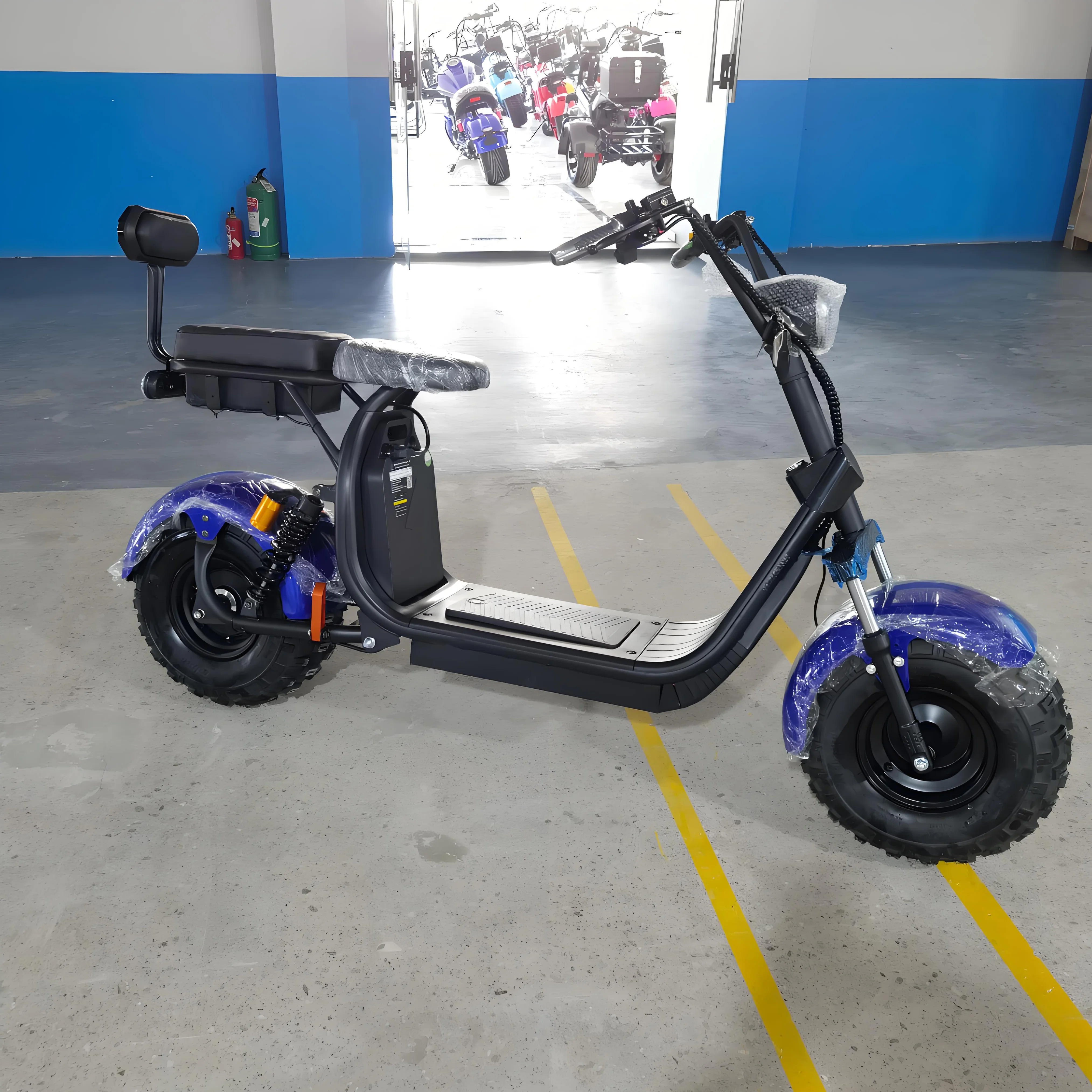 Trendy 2024 Citycoco Electric Scooter With High-speed Performance - Buy ...
