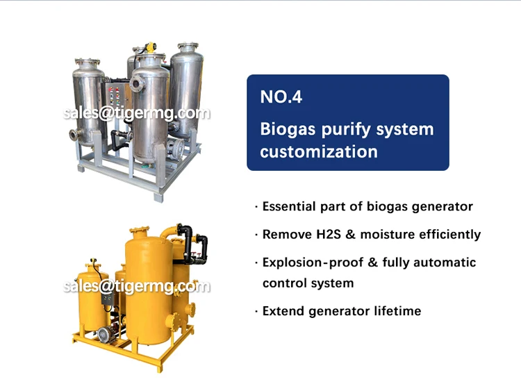 Small Wood Biomass Gasifier Generator for Household Power