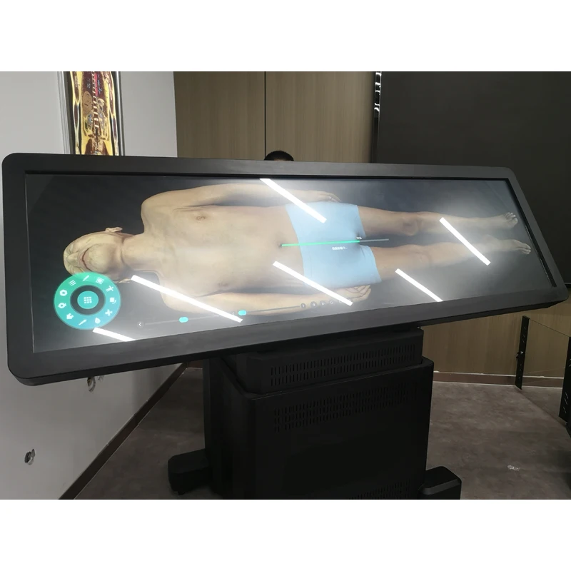 Virtuele Anatomie - Virtual Autopsy Table for Medical Education