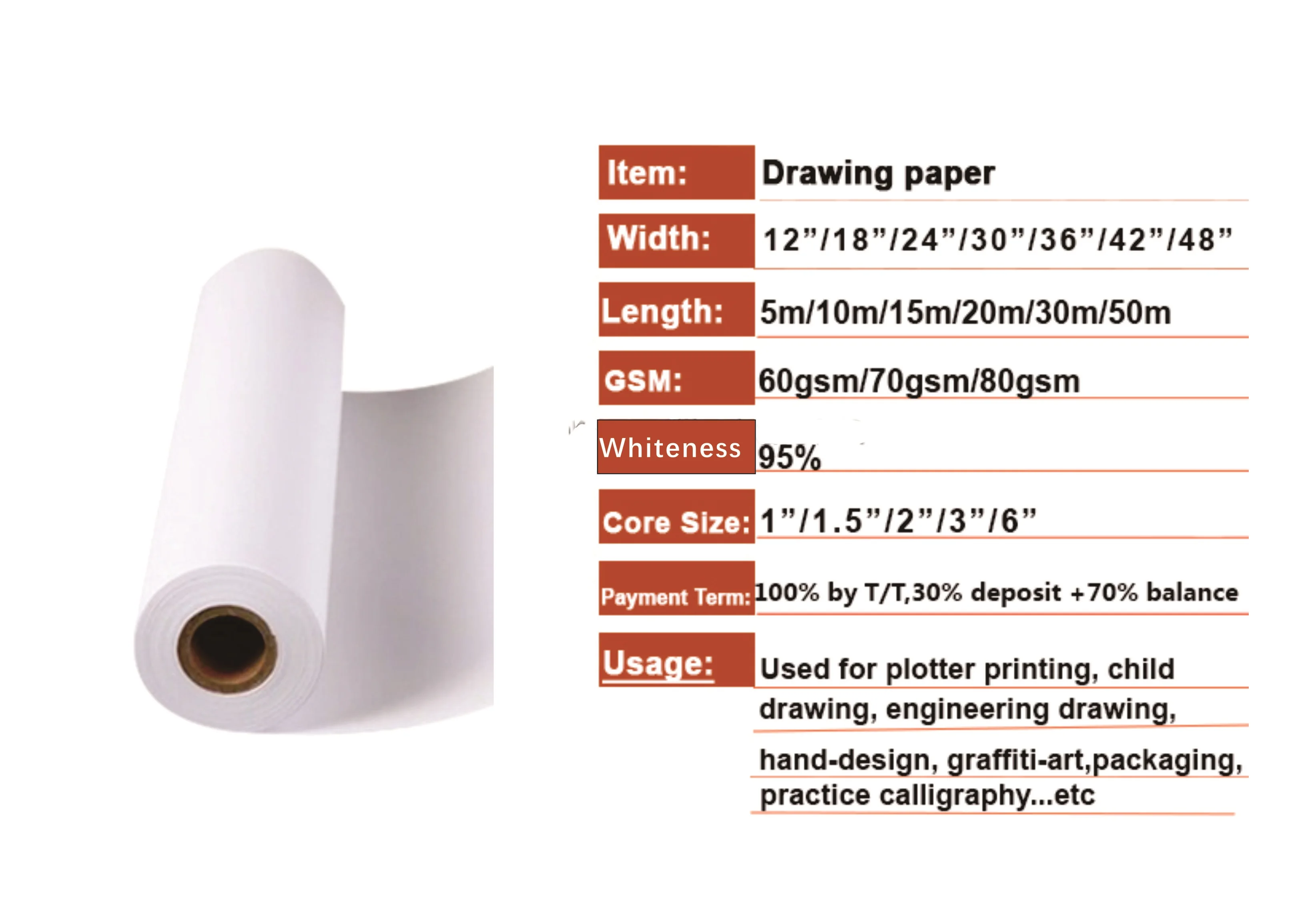 Drawing White Paper Roll Used For Plotter Or Manual Painting Of ...