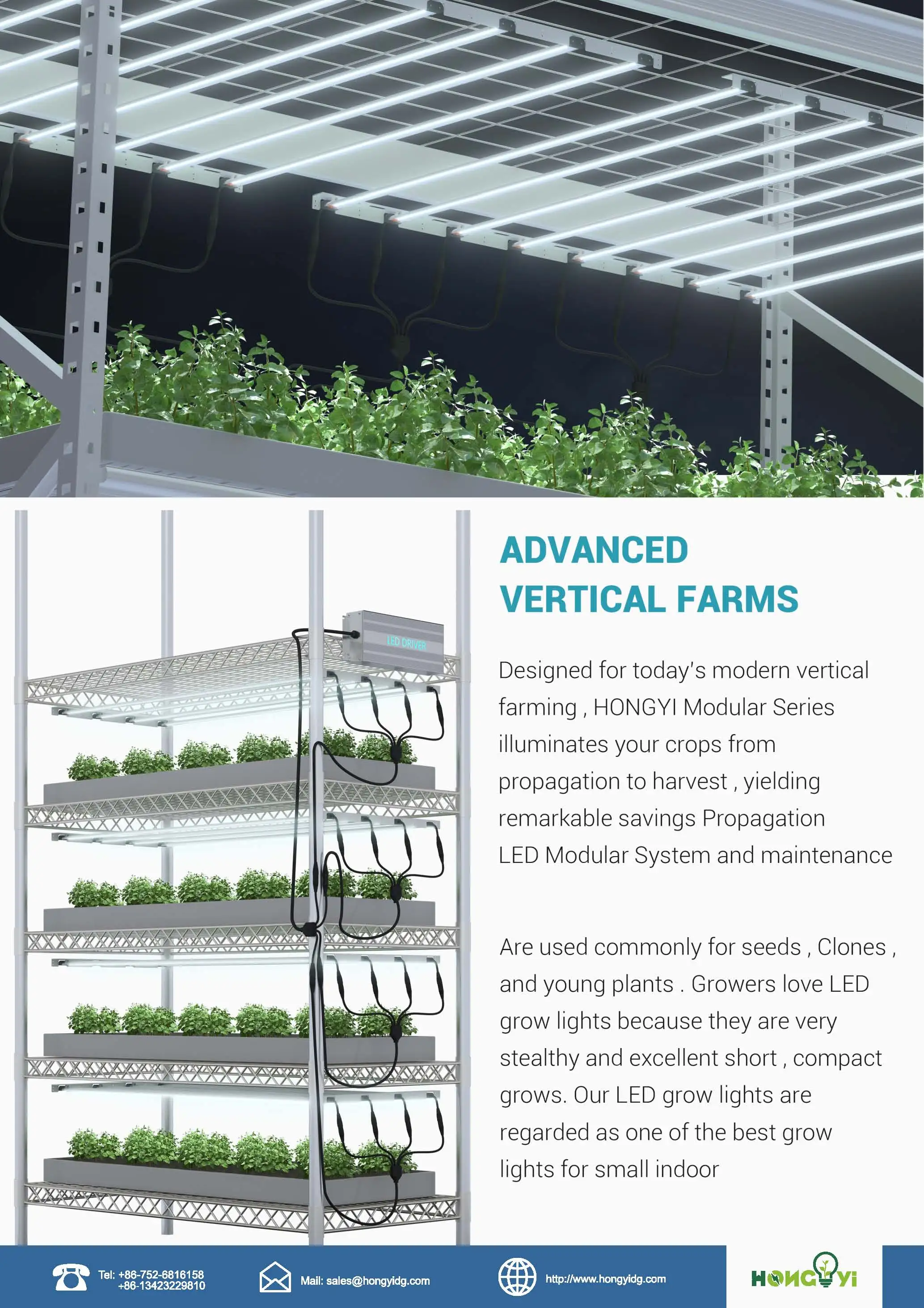 Rack 6500k Modular Propagation 100w/200w 2*4ft 4*4ft Led Grow Light ...