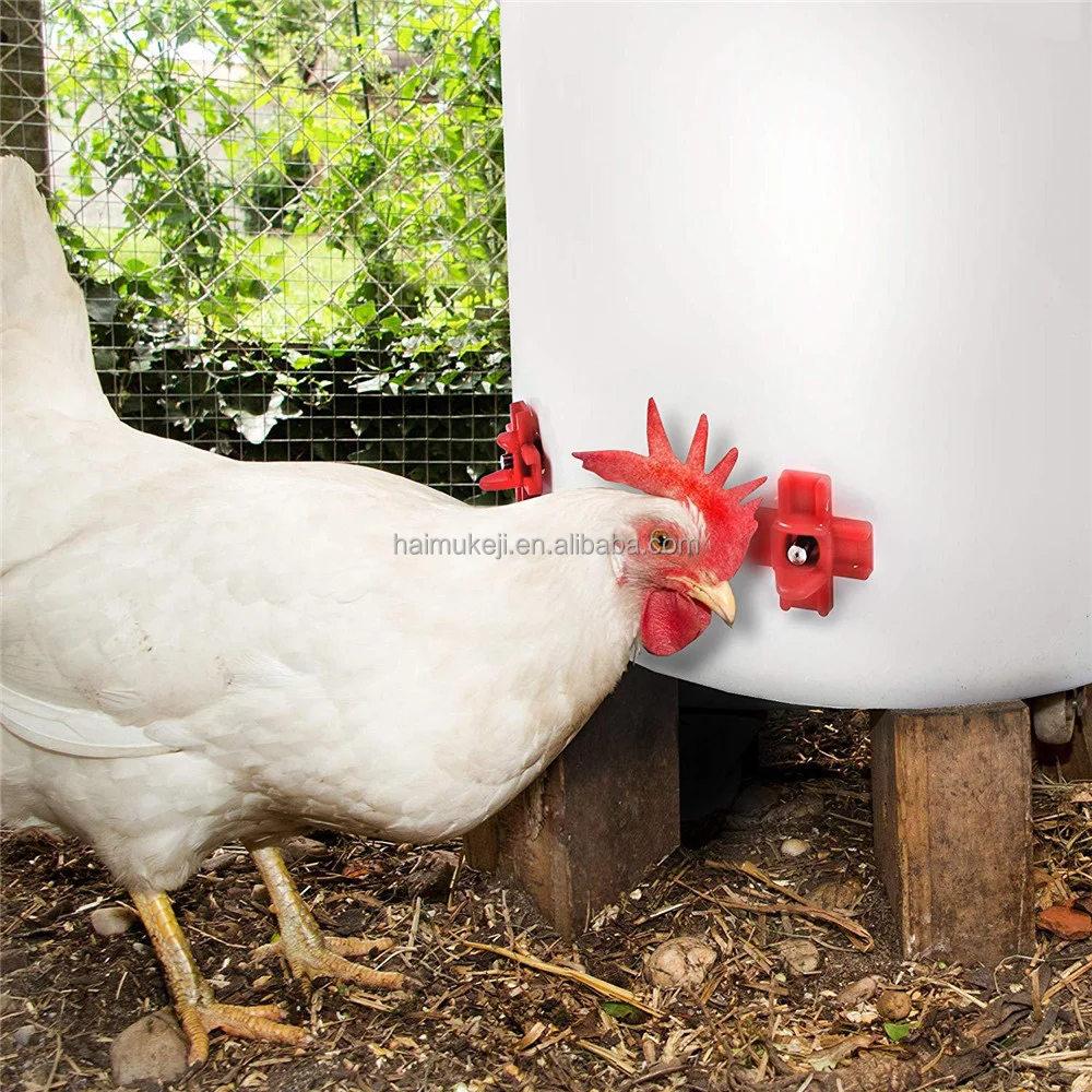 Horizontal Chicken Nipples Waterer Automatic Poultry Nipples Horizontal ...