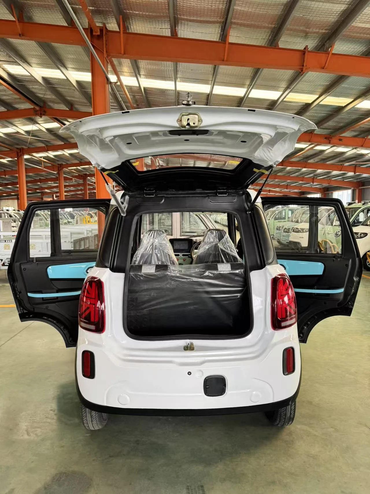 2024 Electric Mini Car - Urban Commute in Style & Comfort