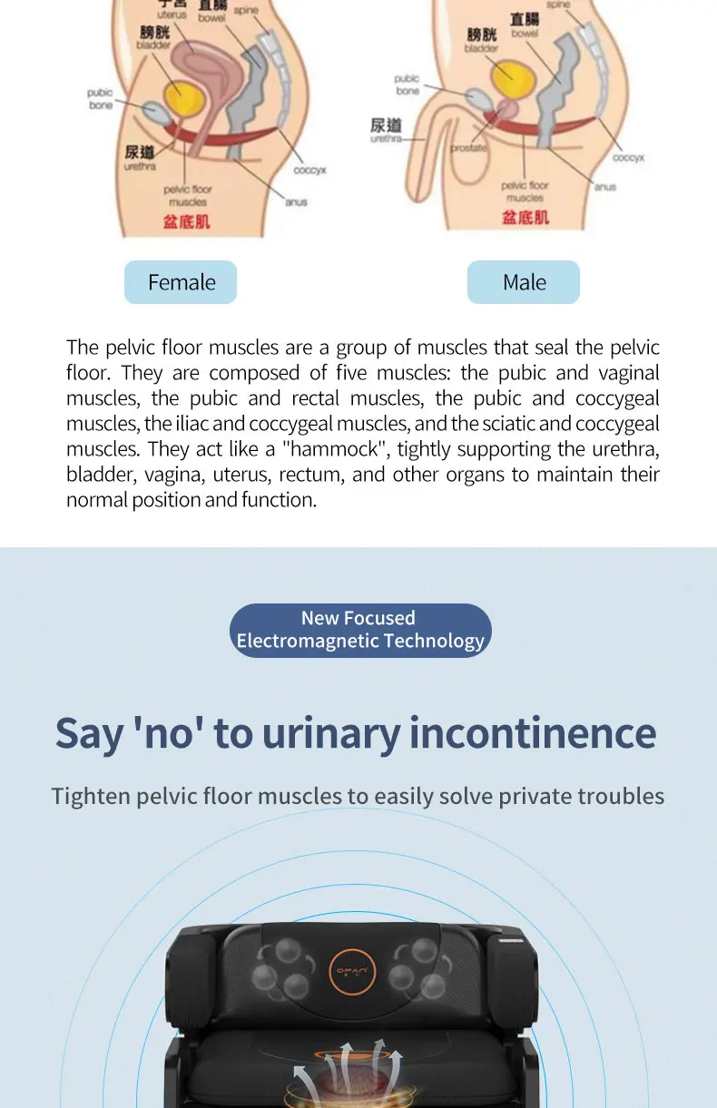 Pulse Electromagnetic Wave Pelvic Floor Muscle Training Device ...