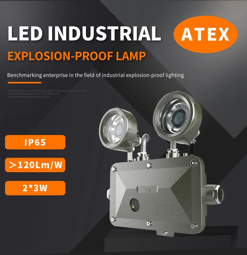 ATEX LED Explosion Proof Emergency Light for Hazardous Places