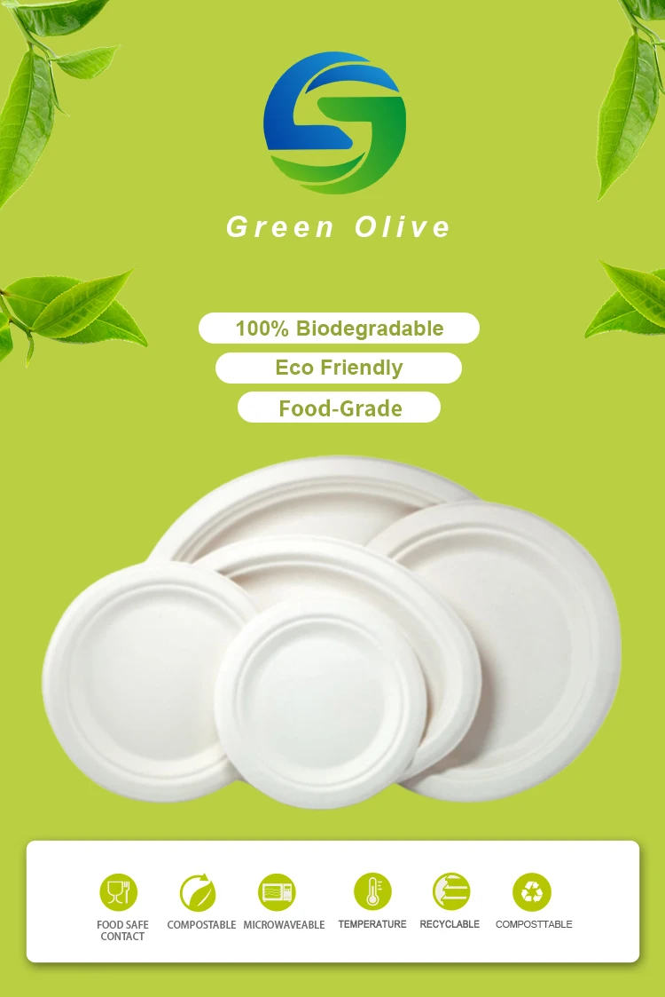 Biodegradable Sugar Cane Bagasse Compostable Eco Friendly Disposable ...