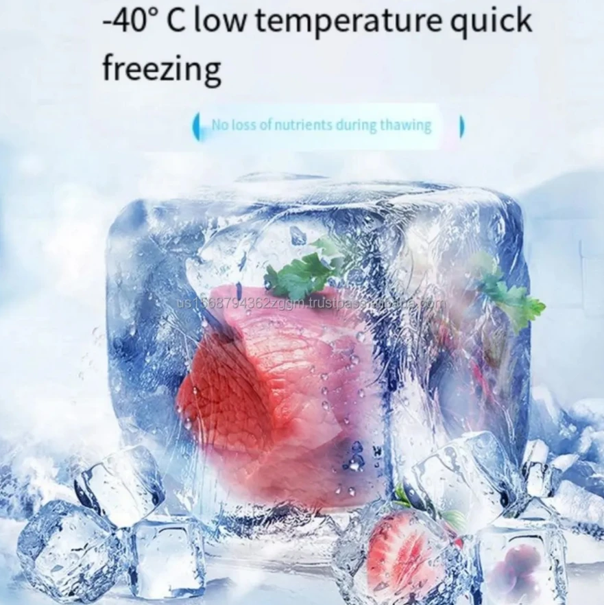 Small Vertical 3/4/5 Trays Quick Freezing Blast Freezer Chiller for Ice ...