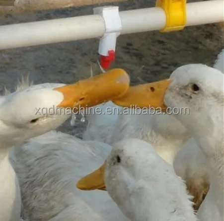 Duck Goose Equipment Feeding Line automatic Feed Feeder Pan