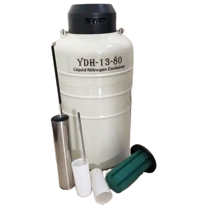 Liquid Nitrogen Container Dewar YDS - Cost-Effective Cryogenic Tanks ...
