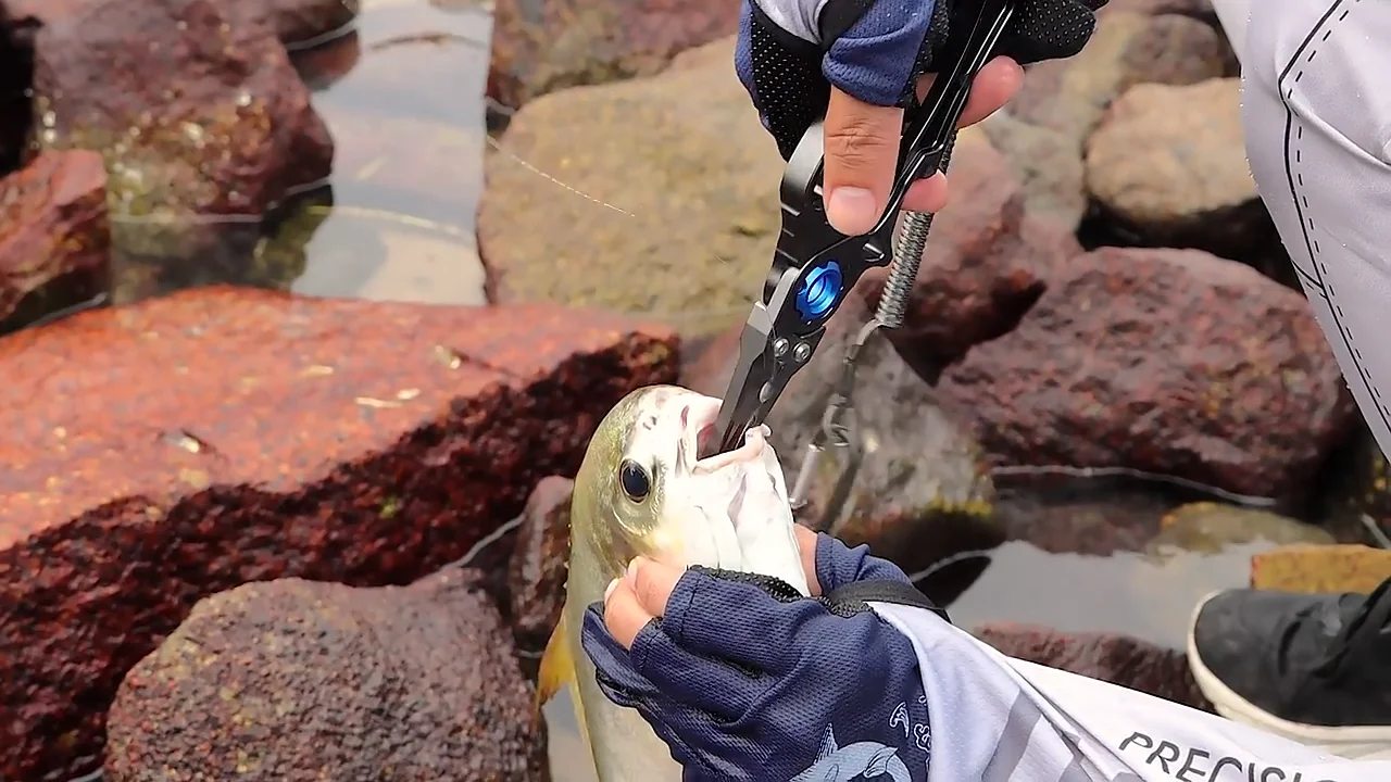 Upgraded Multi Function Fish Gripper Fly Ice Lure Fishing Accessories ...