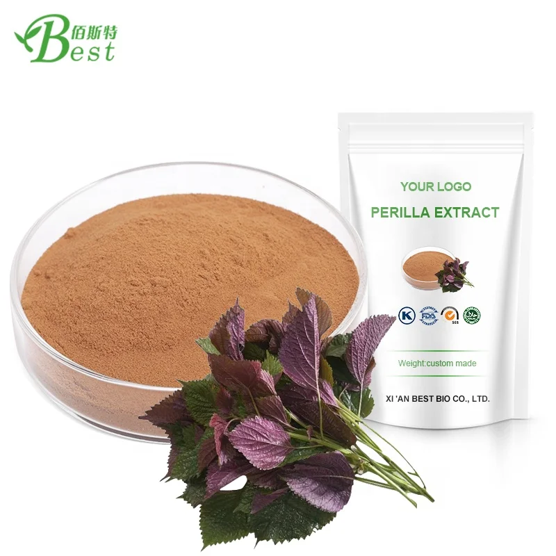 Hot Sale Perilla Leaf Extract/perilla Extract/perilla Frutescens Leaf ...
