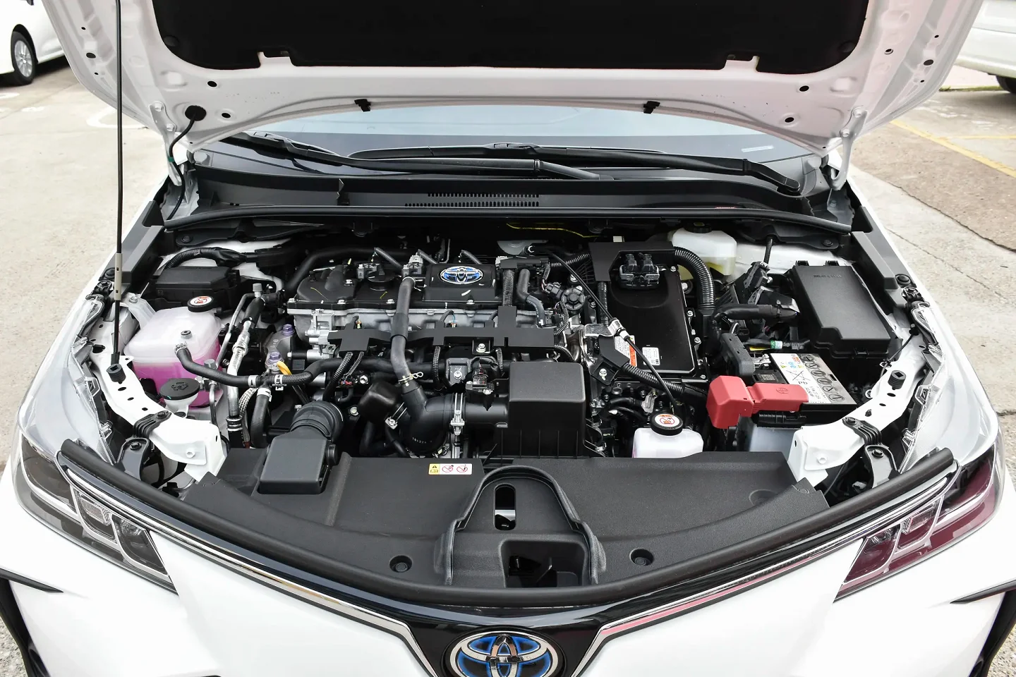 Second Hand Used 2021 Toyota Corolla 1.8 Petrol Automatic Left Hand ...